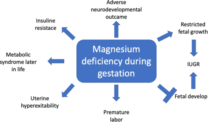 Magnesium and Pregnancy in 2024 | The Definitive Guide